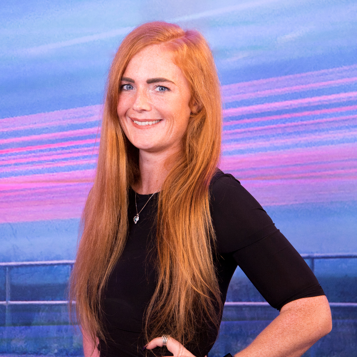 Zuid-Holland Bereikbaar | ProMedia Groep: Duurzame mobiliteit en werven ...